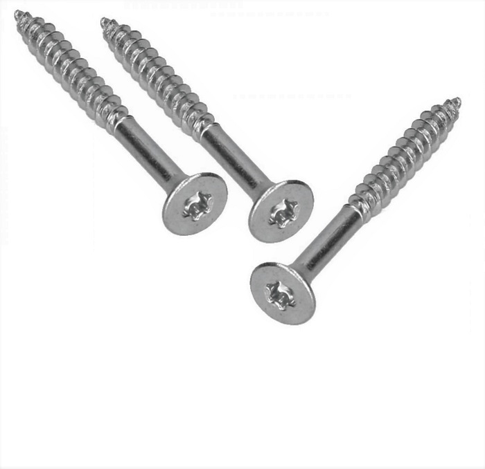 Schroeven en beugels: Schroeven roestvrijstaal (Torx)